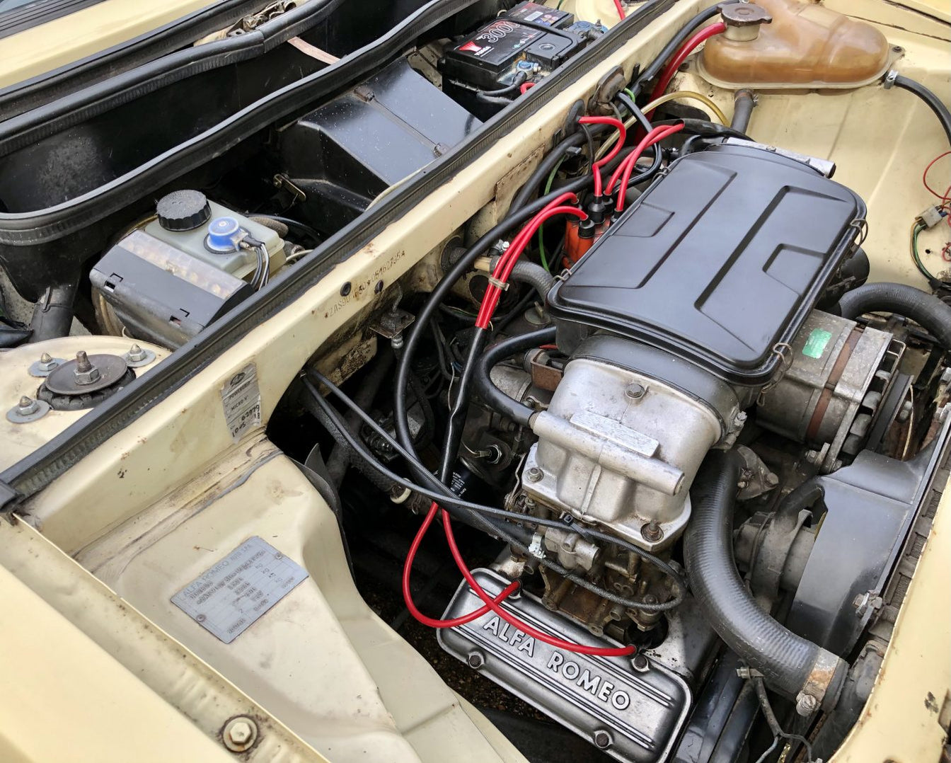 1984 ALFA ROMEO ALFASUD IVORY — Phil Mires Classic Cars